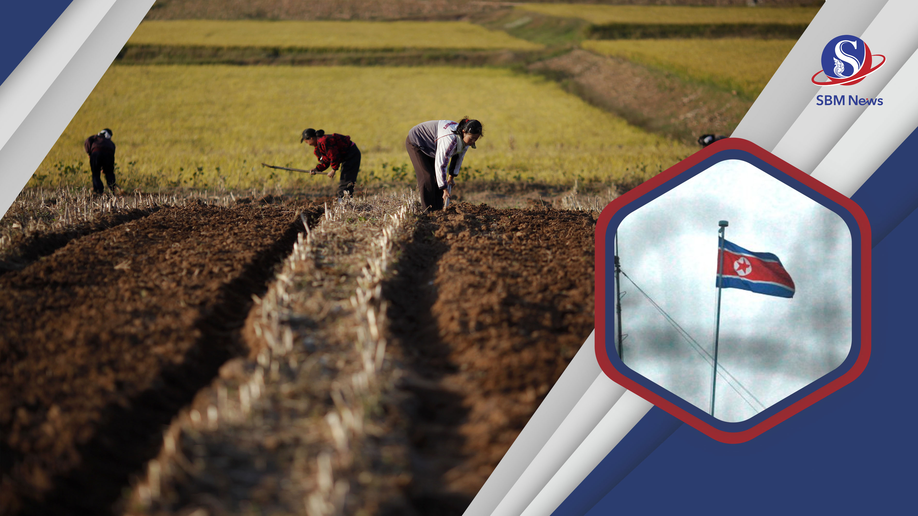 កូរ៉េខាងជើងបញ្ជូនគណៈប្រតិភូ កសិកម្ម កម្រិត ខ្ពស់ទៅ ទស្សនកិច្ច នៅ ...