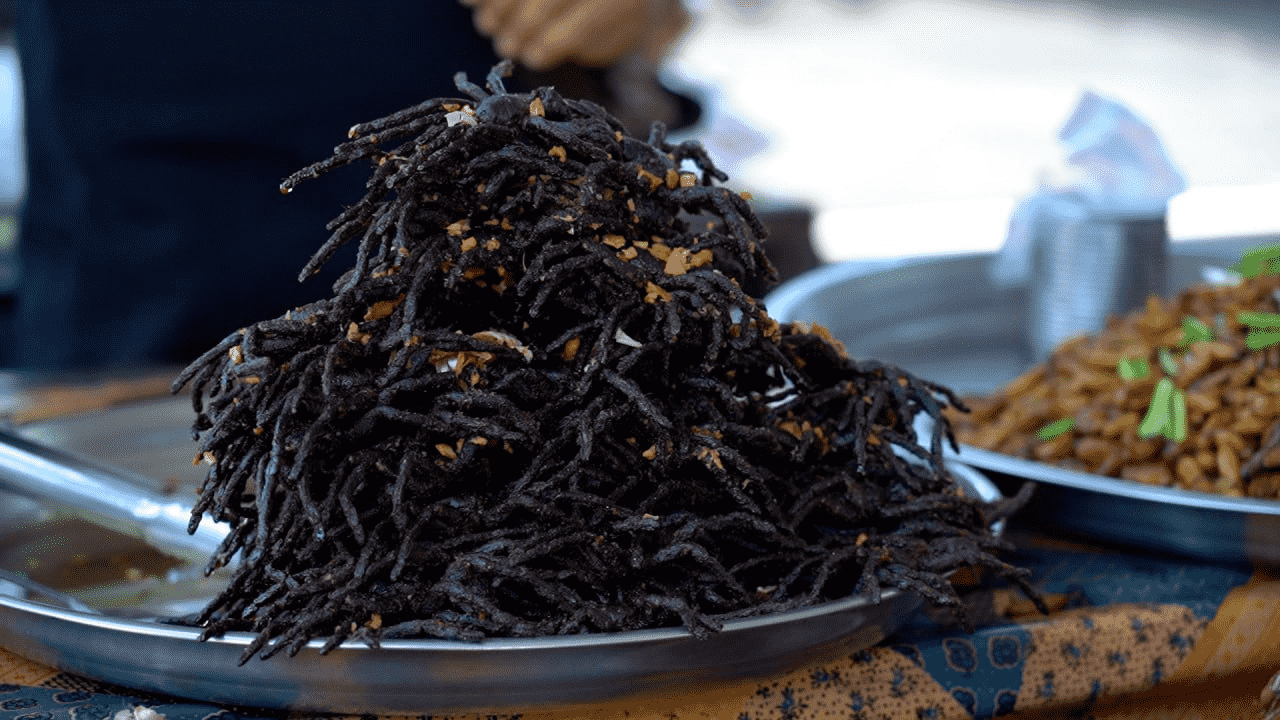 អ្នកប្រកបរបរជីកសត្វរពីងលក់ ...