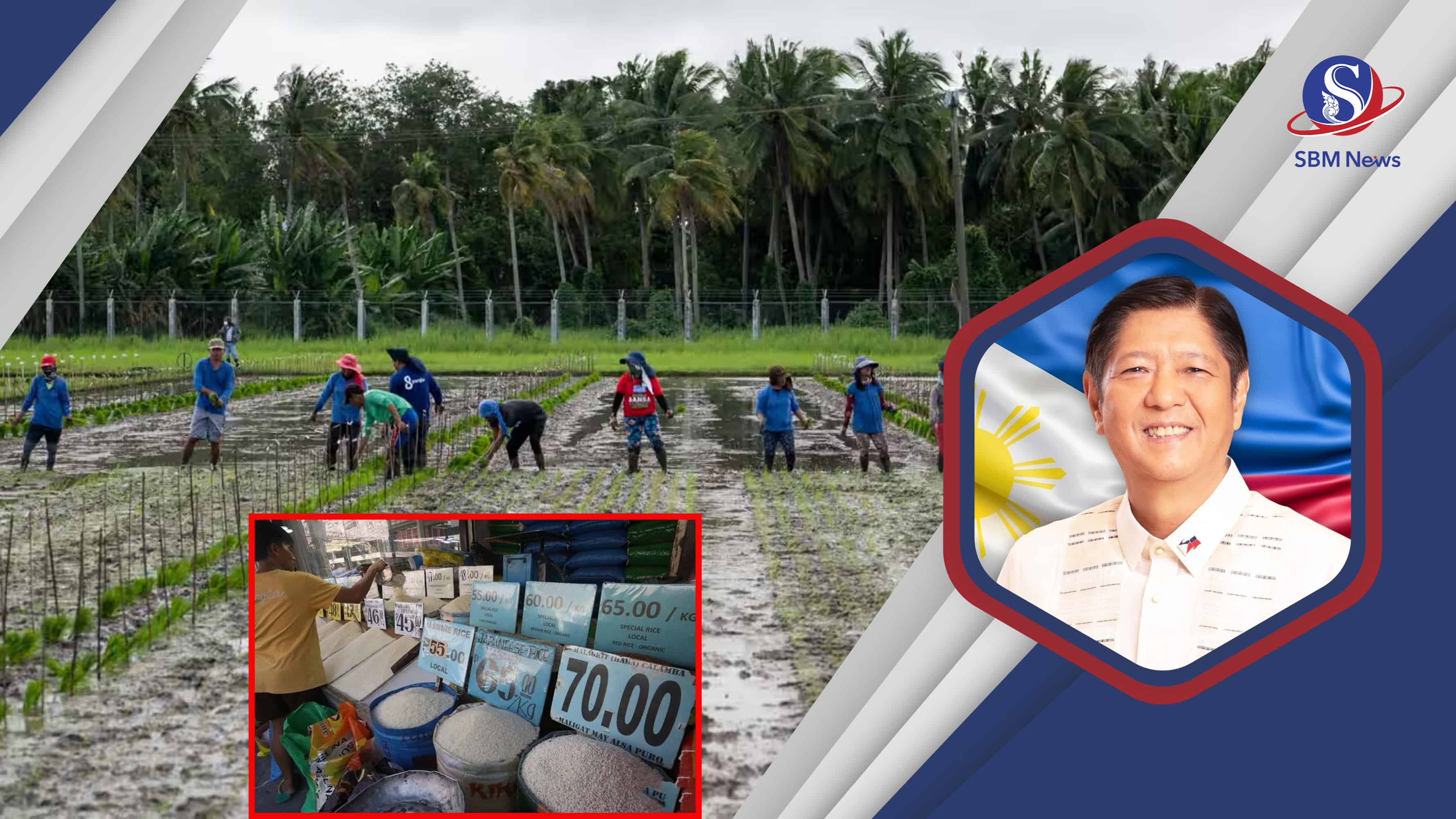 តម្លៃ អង្ករ ហ្វីលីពីន ឡើង ដល់ កម្រិត ខ្ពស់ បំផុត មិនធ្លាប់មានចាប់ តាំង ...